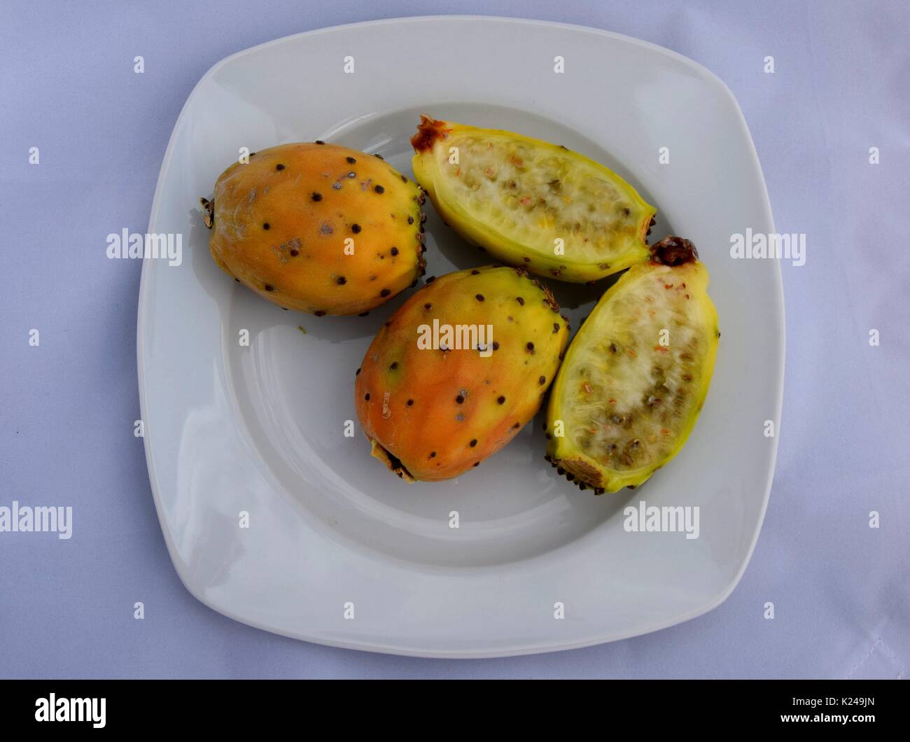 Opuntia ficus-indica, Indian fig opuntia, Barbary fig, cactus pear ...