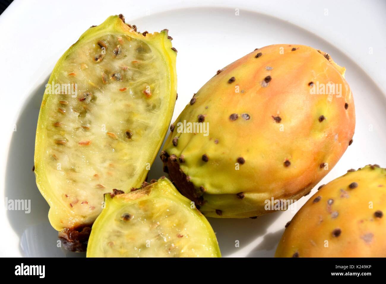 Opuntia ficus-indica, Indian fig opuntia, Barbary fig, cactus pear ...