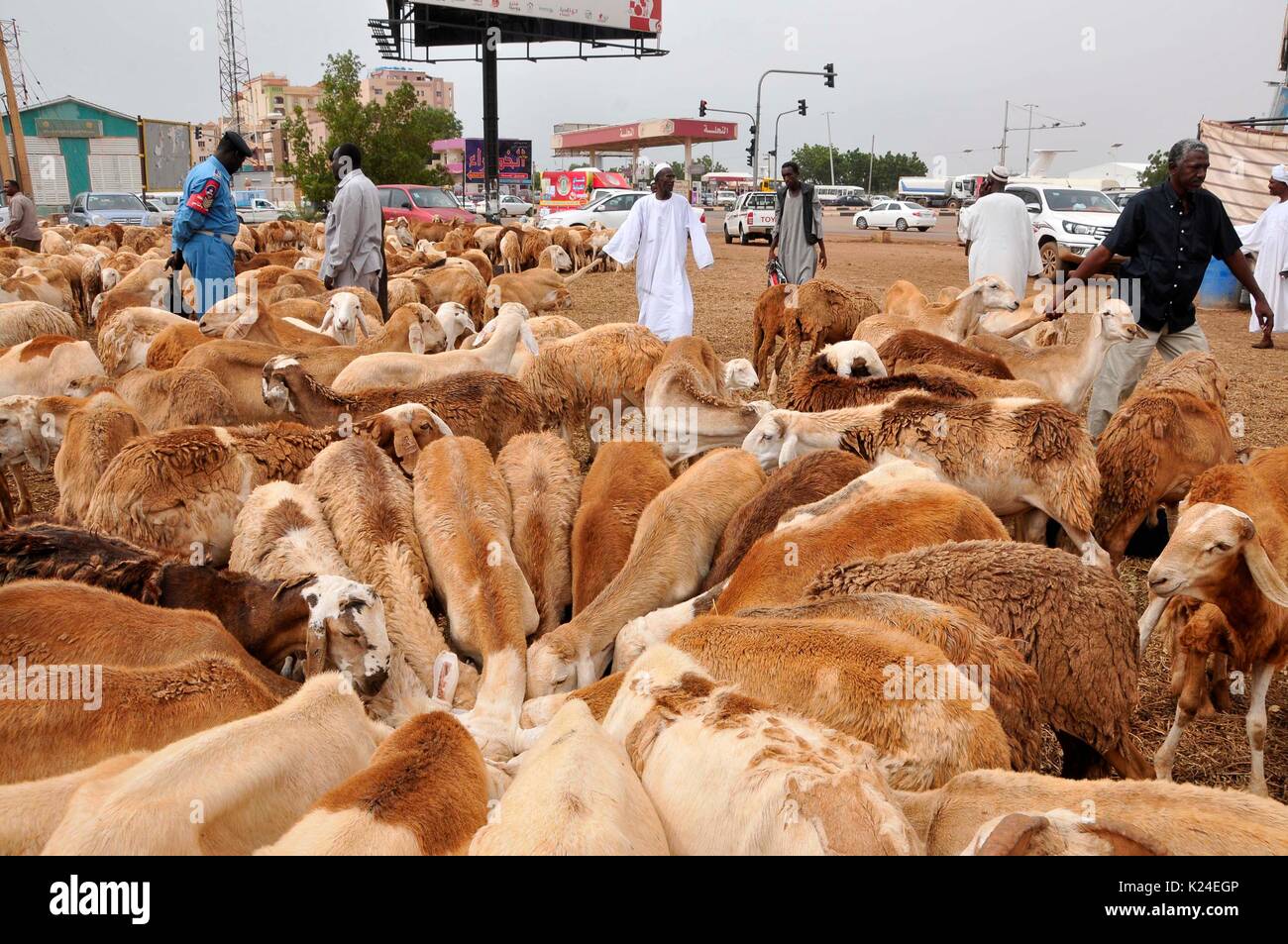 Al news dealers hi-res stock photography and images - Alamy