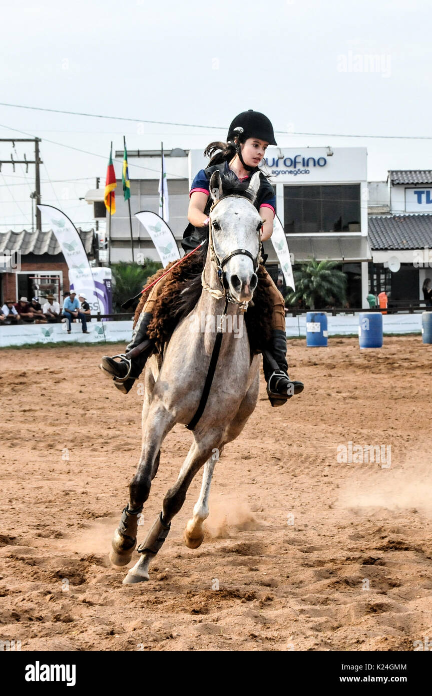 Esteio, Brazil. 28th Aug, 2017. Events and movement of the 40 Expointer ...