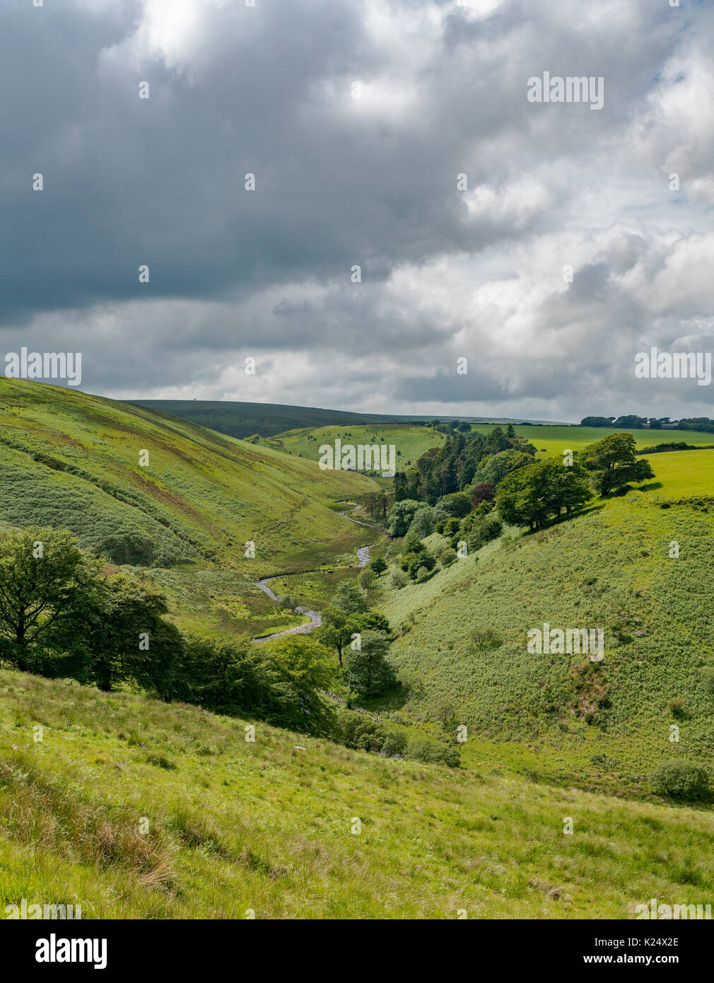 Devon scott hi-res stock photography and images - Alamy