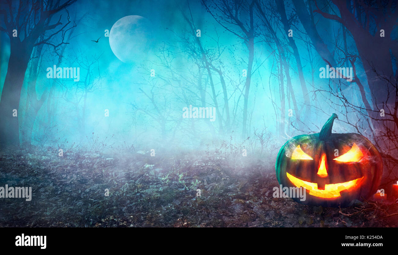 Spooky forest moon hi-res stock photography and images - Alamy