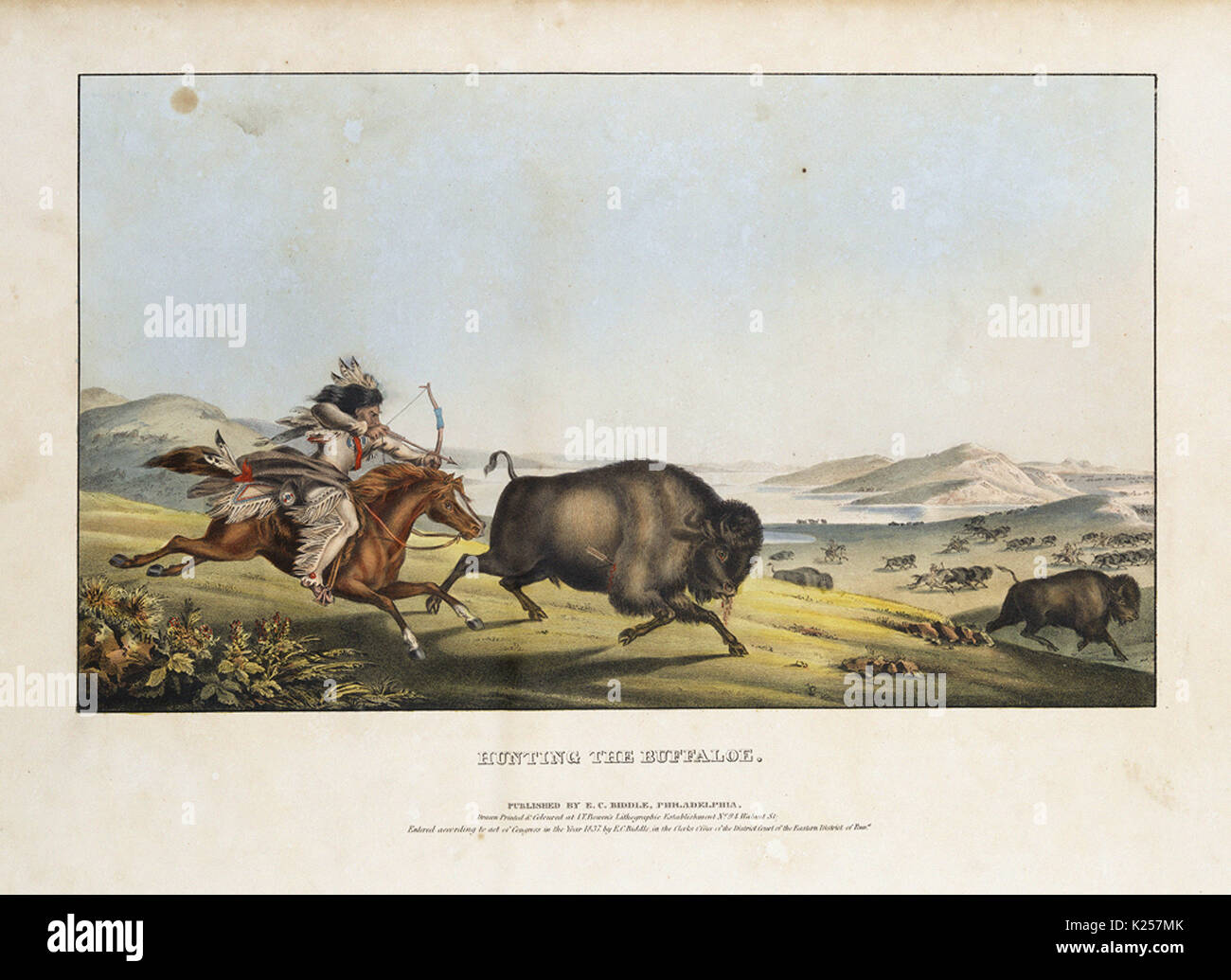 Hunting the Buffaloe Stock Photo - Alamy