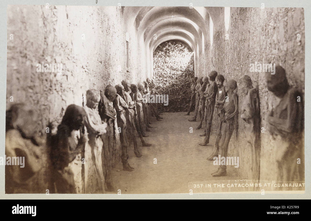 In the Catacombs at Guanajuato Stock Photo - Alamy