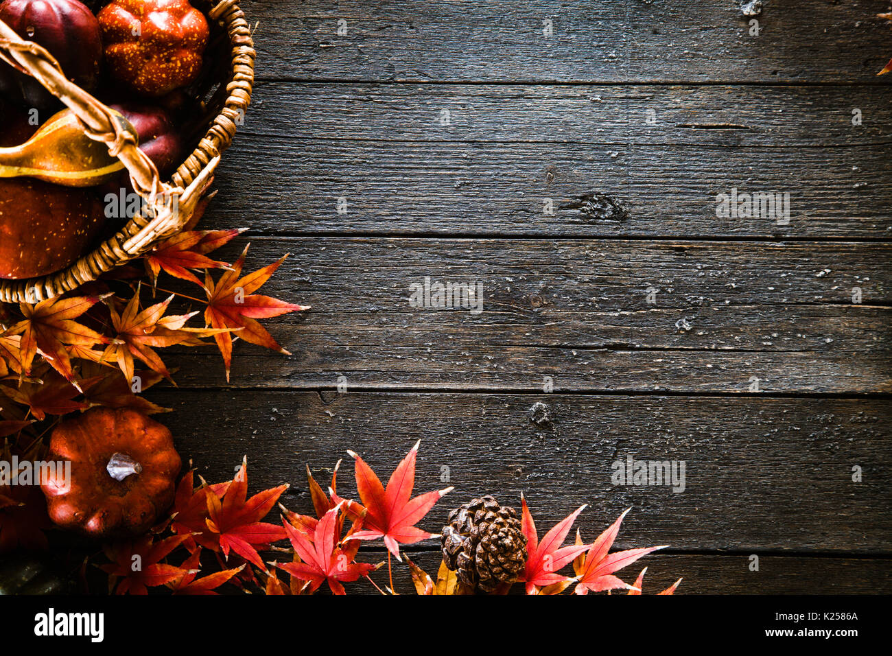 Spring wood autumn wood hi-res stock photography and images - Alamy