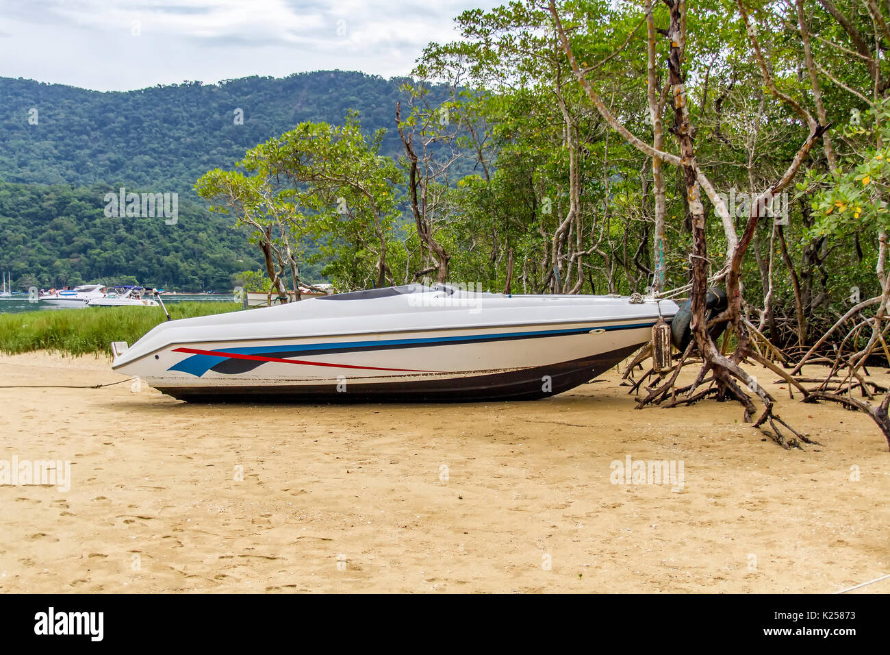 Swamp boat hi-res stock photography and images - Alamy