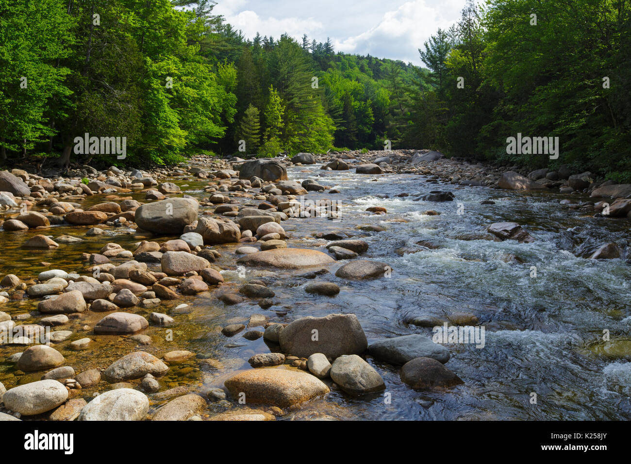 The East Branch of the Pemigewasset River in the Pemigewasset ...