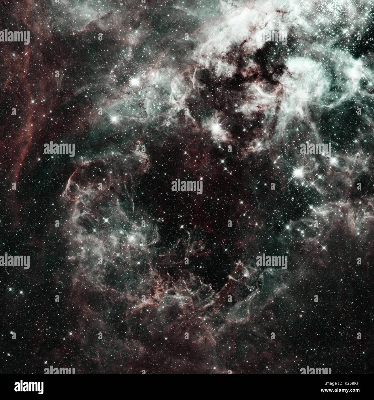 The Tarantula Nebula, also known as 30 Doradus. A Star-Forming Region ...
