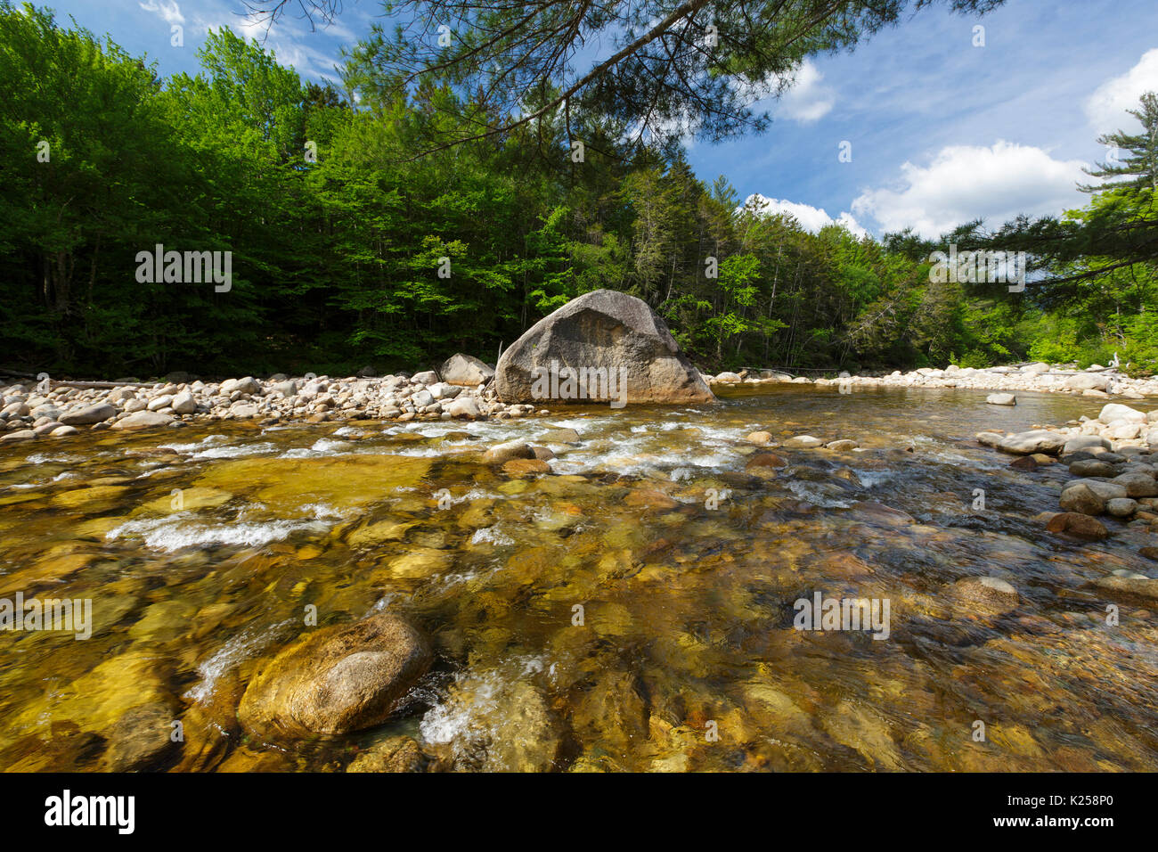 The East Branch of the Pemigewasset River in the Pemigewasset ...