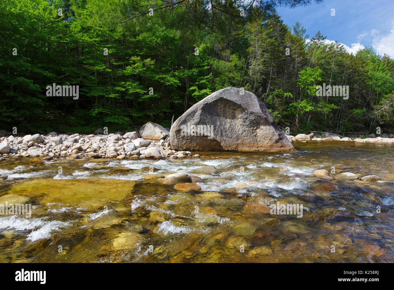 The East Branch of the Pemigewasset River in the Pemigewasset ...