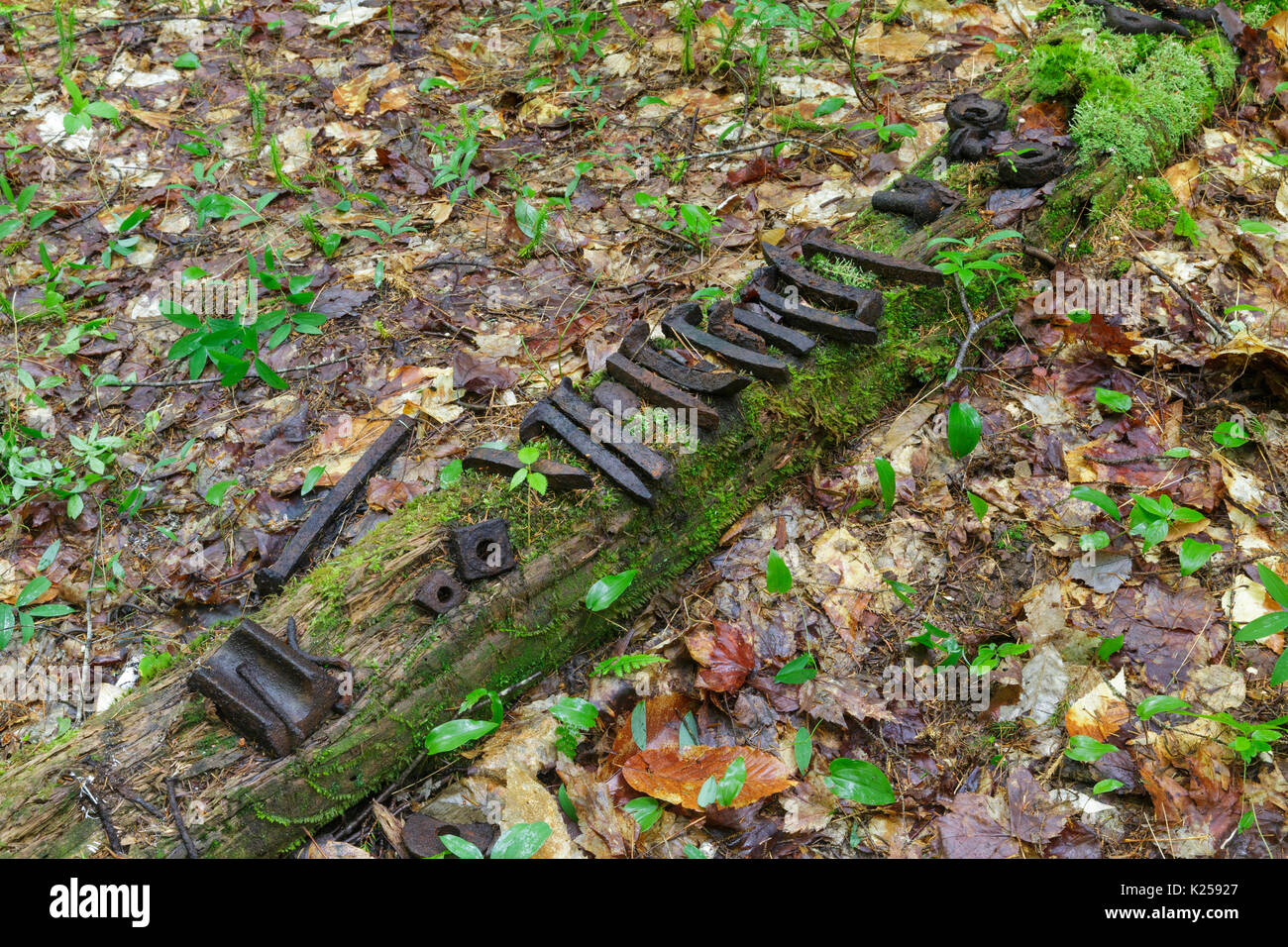 Old railroad spikes and various other artifacts placed on display along ...