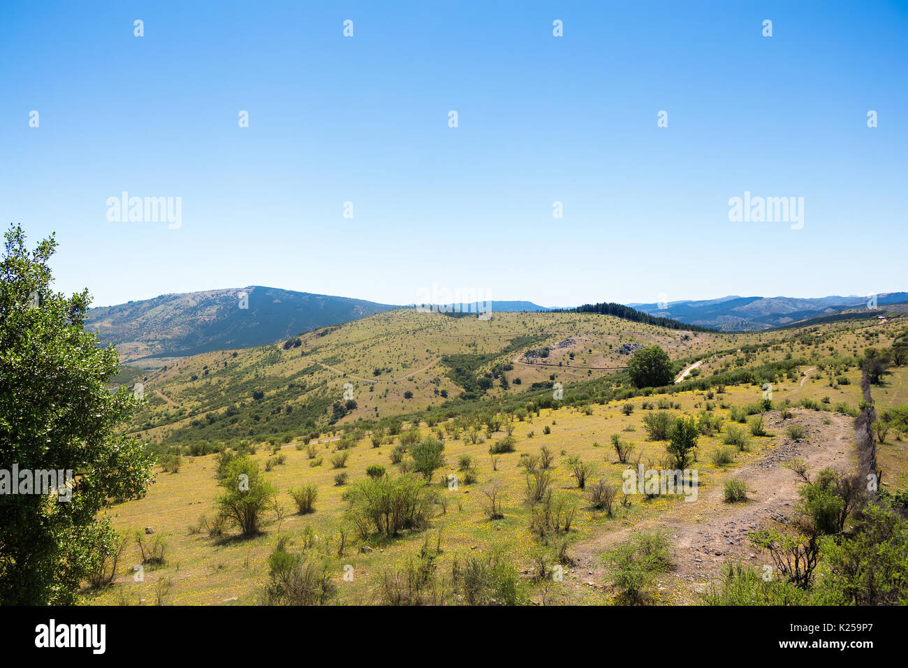 Talca chile hi-res stock photography and images - Alamy