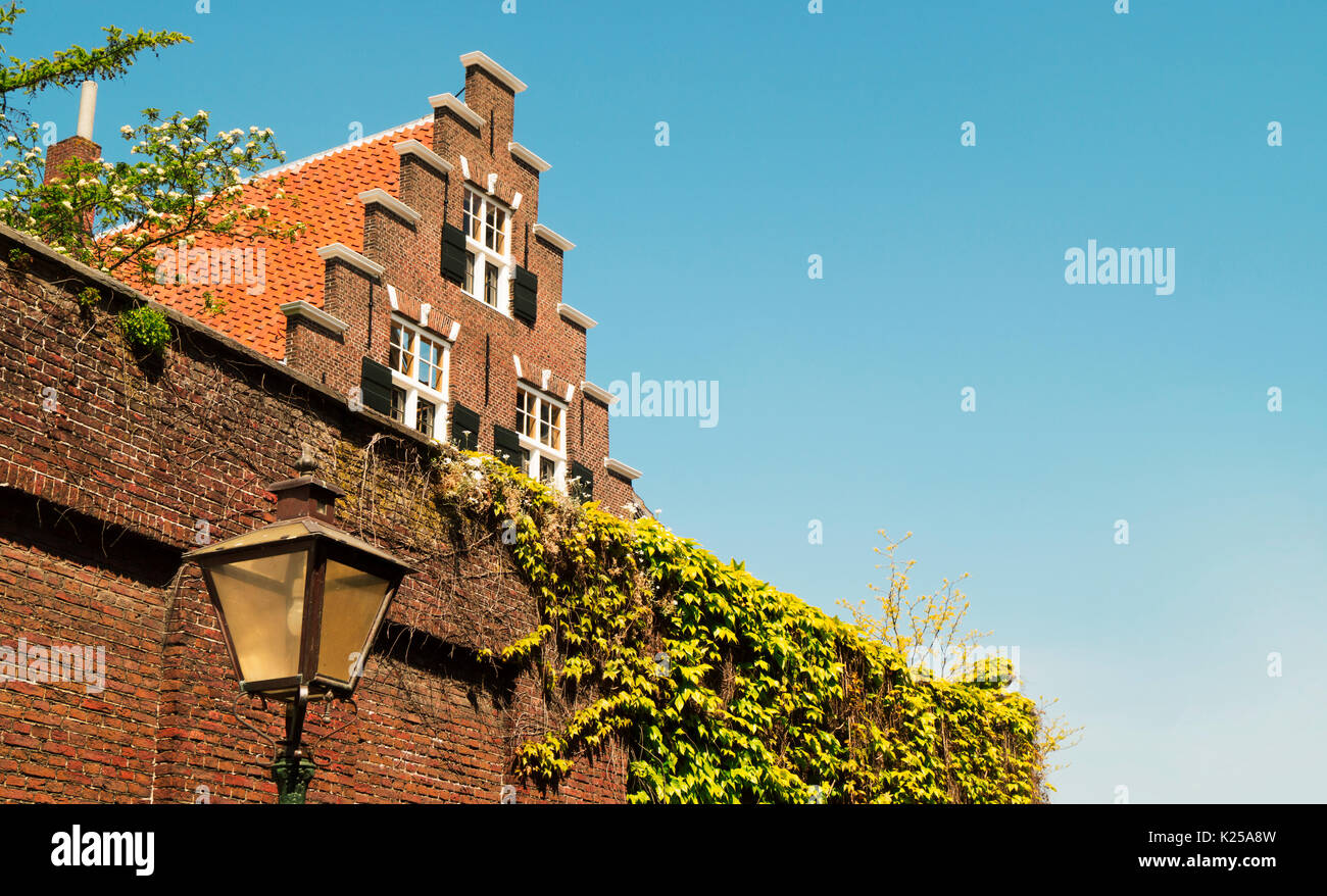 Netherlands Leiden in the Nieuwsteeg a traditional Dutch house with a ...