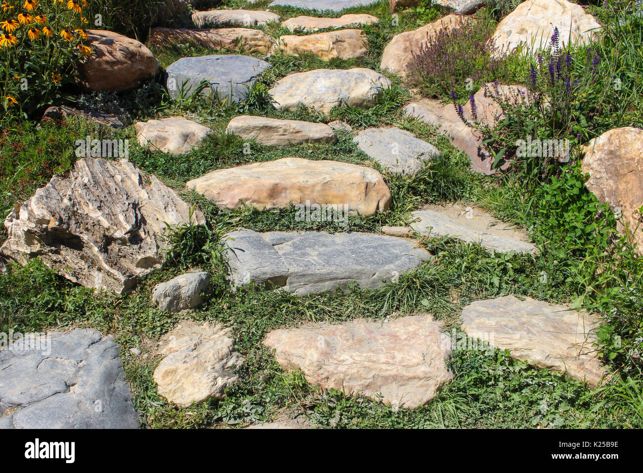 Rock paved and flowers path outdoor Stock Photo - Alamy