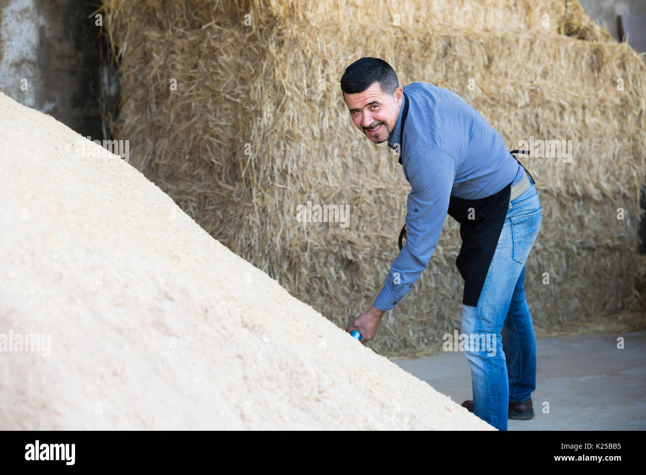 Positive man standing with metallic spade in hay hangar Stock Photo - Alamy