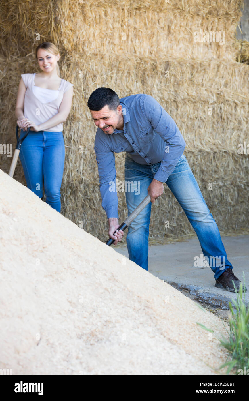 Spade soil lifting hi-res stock photography and images - Alamy