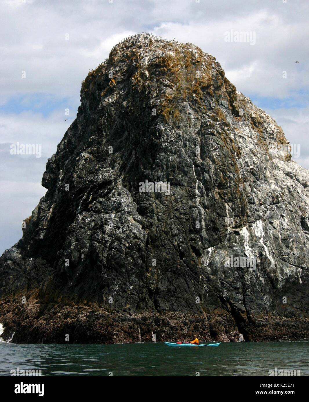 A kayaker explores the sea stack rock formations emerging from Trinidad ...