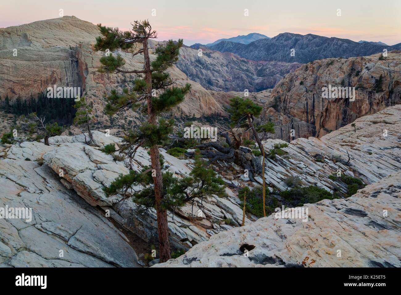 Scattered rock formations hi-res stock photography and images - Alamy