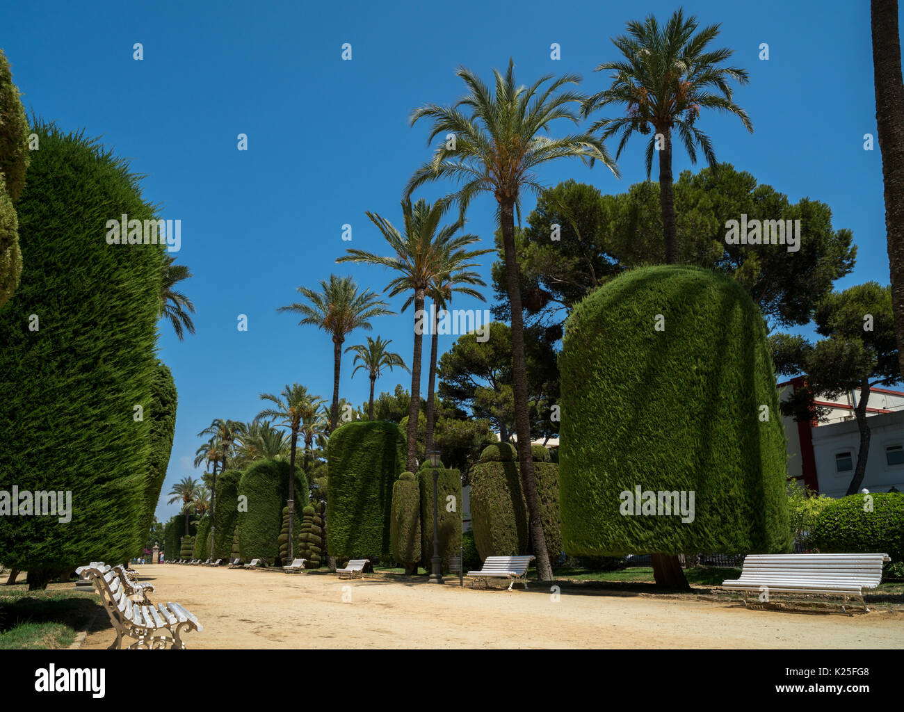 Parque genoves cadiz hi-res stock photography and images - Alamy