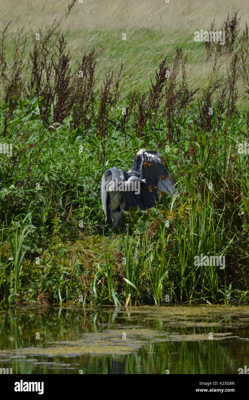 Shuckburgh hall hi-res stock photography and images - Alamy