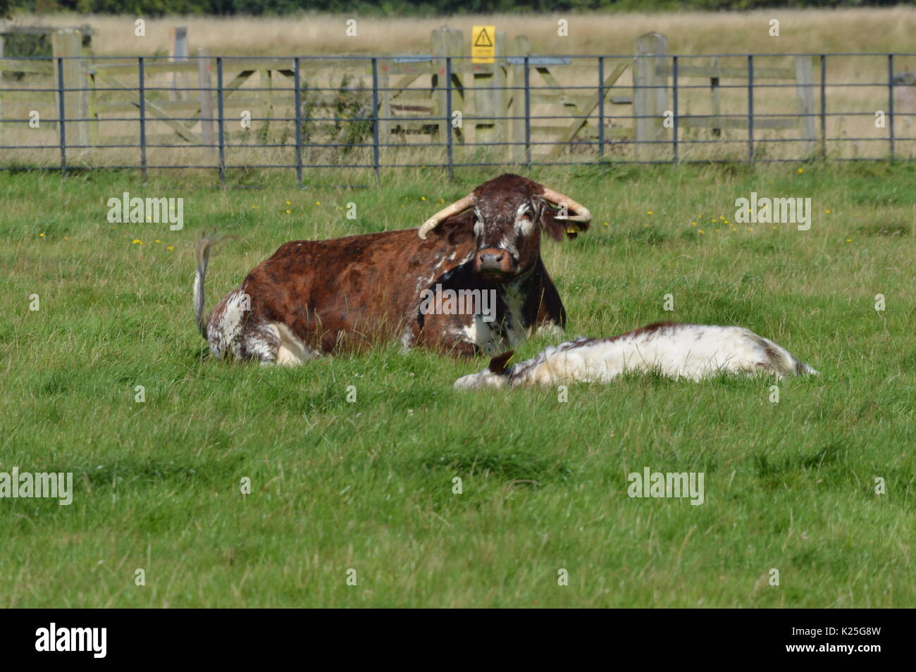 Shuckburgh hall hi-res stock photography and images - Alamy