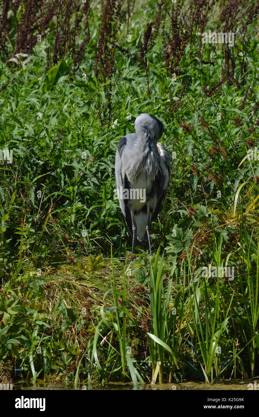 Shuckburgh hall hi-res stock photography and images - Alamy