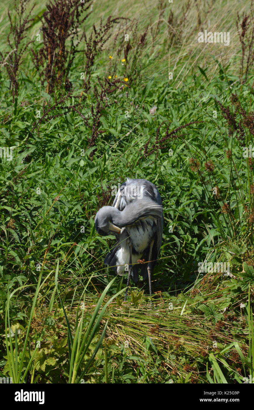 Shuckburgh hall hi-res stock photography and images - Alamy