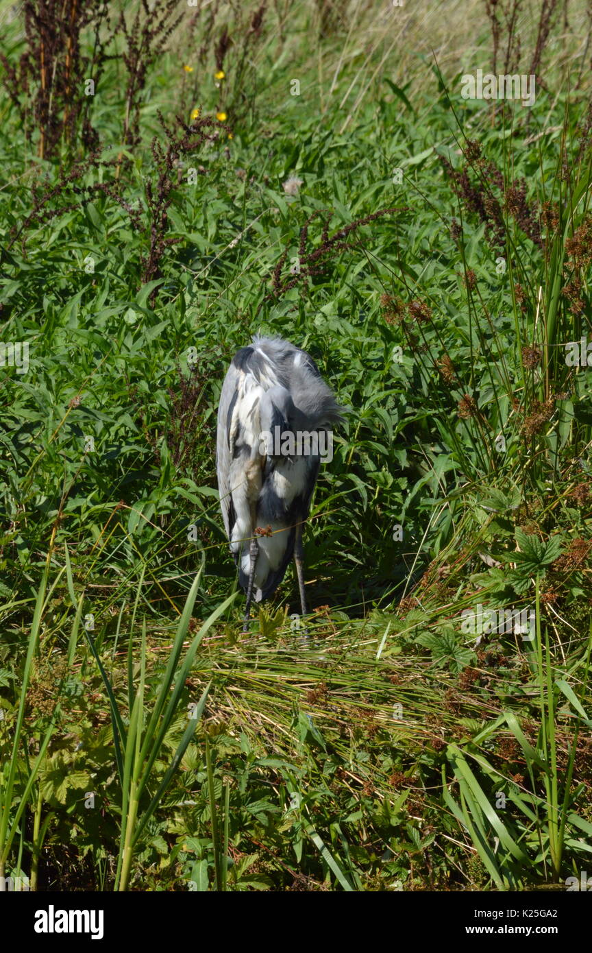 Shuckburgh hall hi-res stock photography and images - Alamy