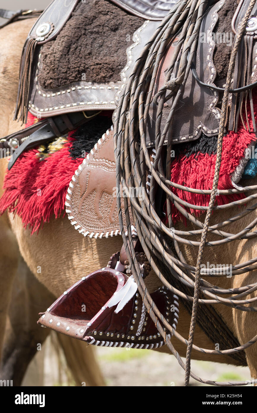 Lasso saddle hi-res stock photography and images - Alamy