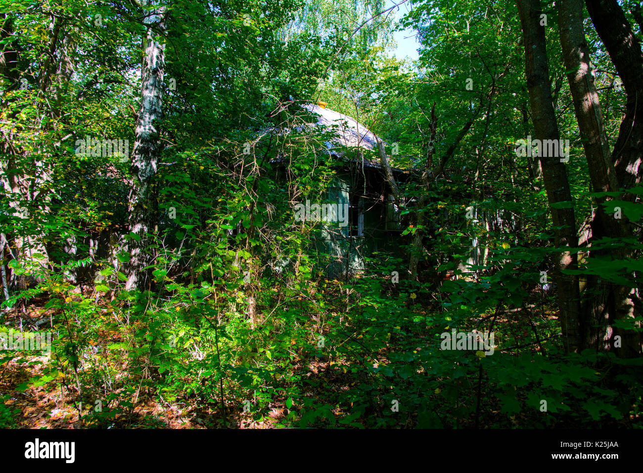 Destroyed houses in which people lived in a dead radioactive zone ...