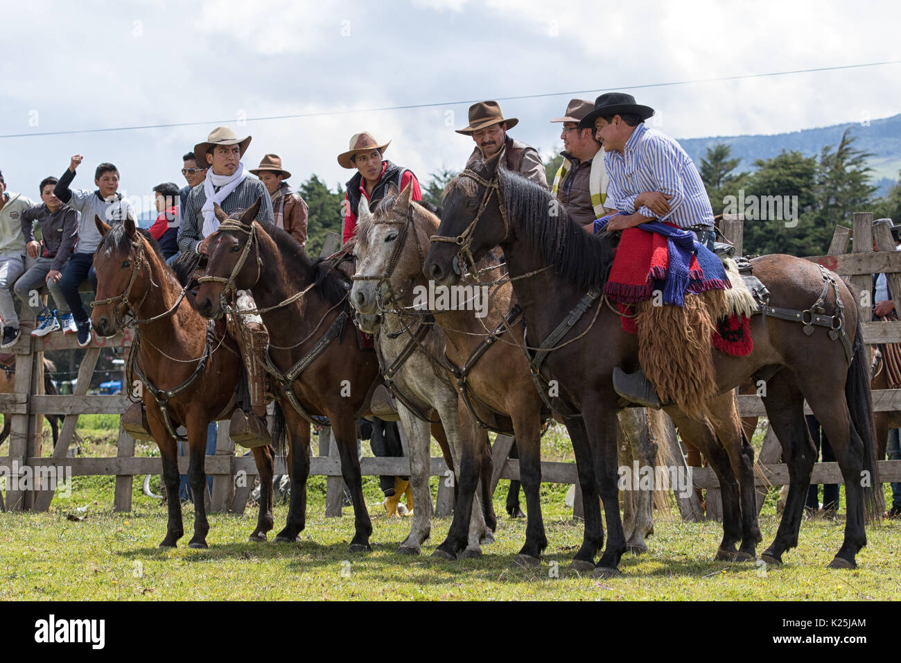Before the rodeo starts hi-res stock photography and images - Alamy