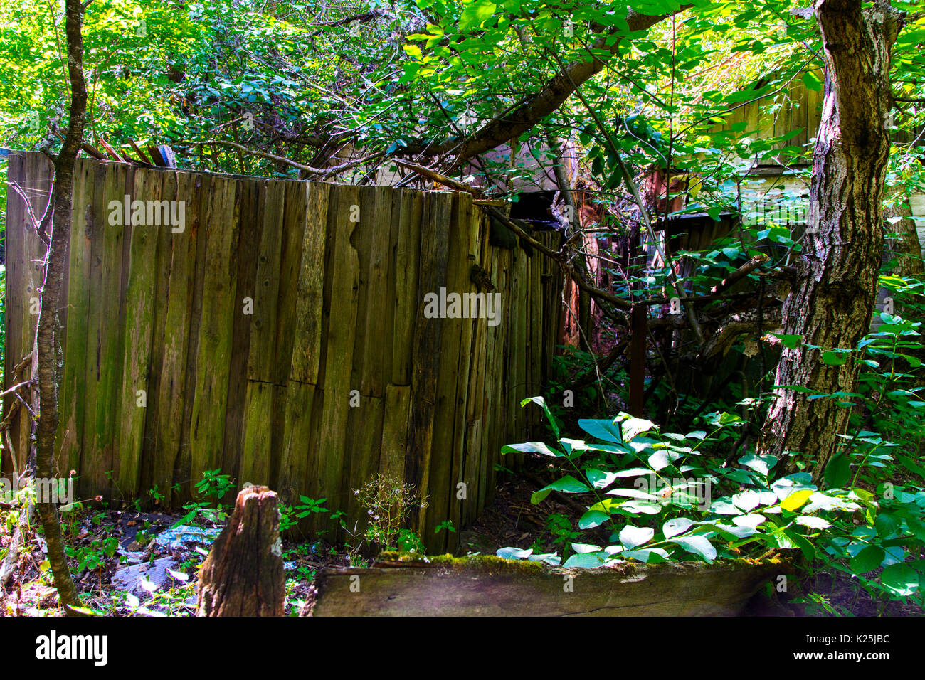 Destroyed houses in which people lived in a dead radioactive zone ...