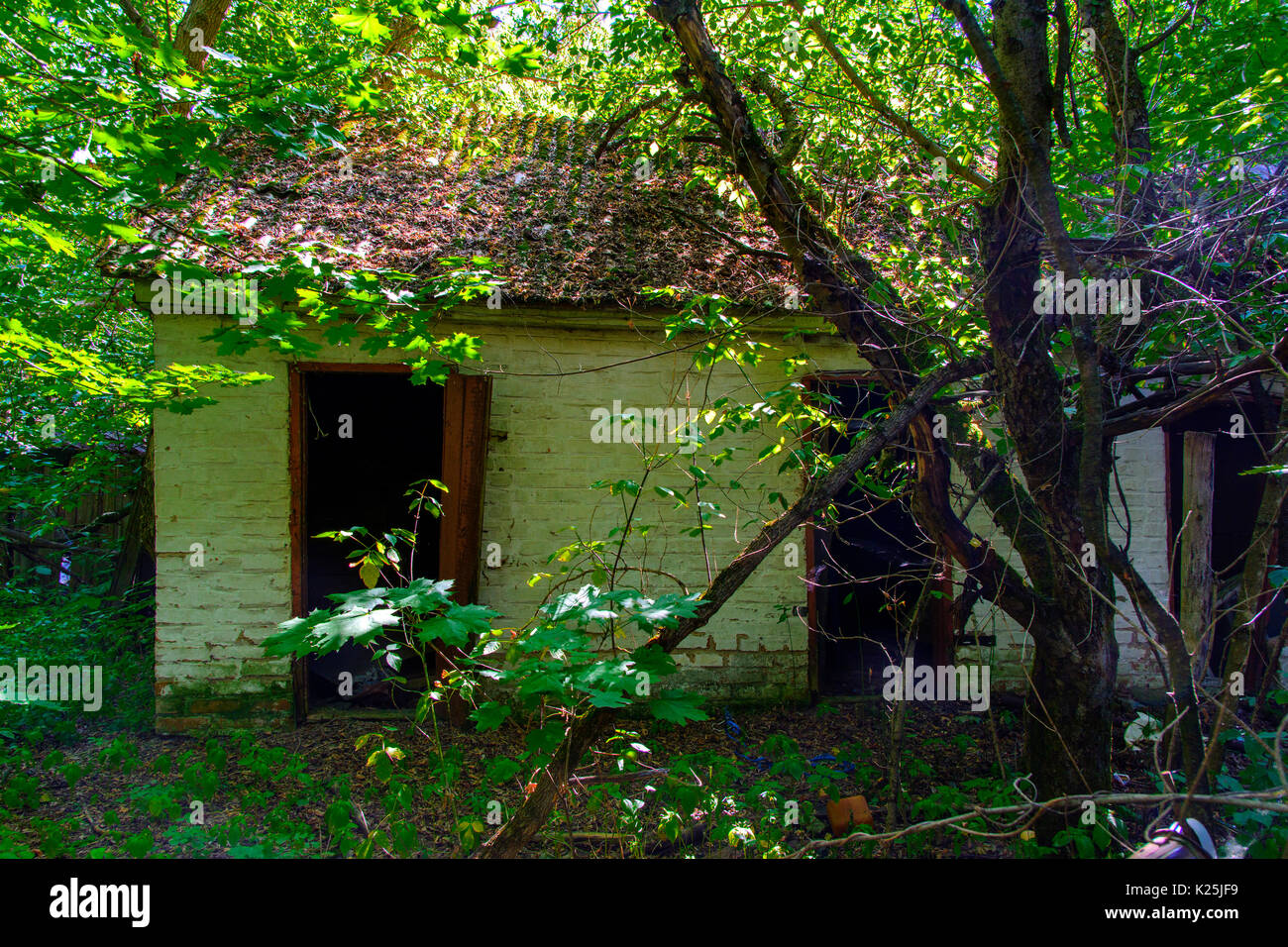 Destroyed houses in which people lived in a dead radioactive zone ...