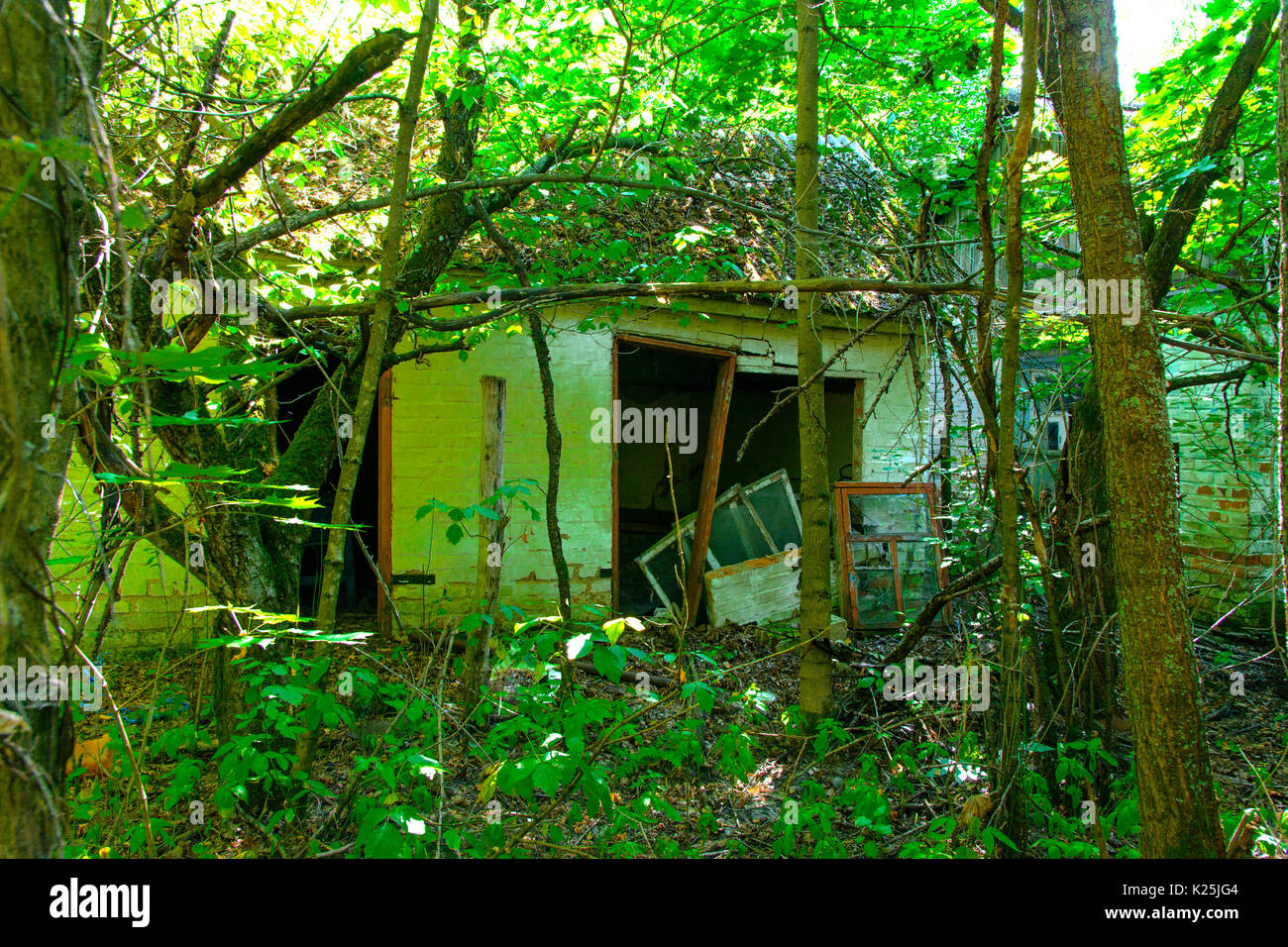 Destroyed houses in which people lived in a dead radioactive zone ...