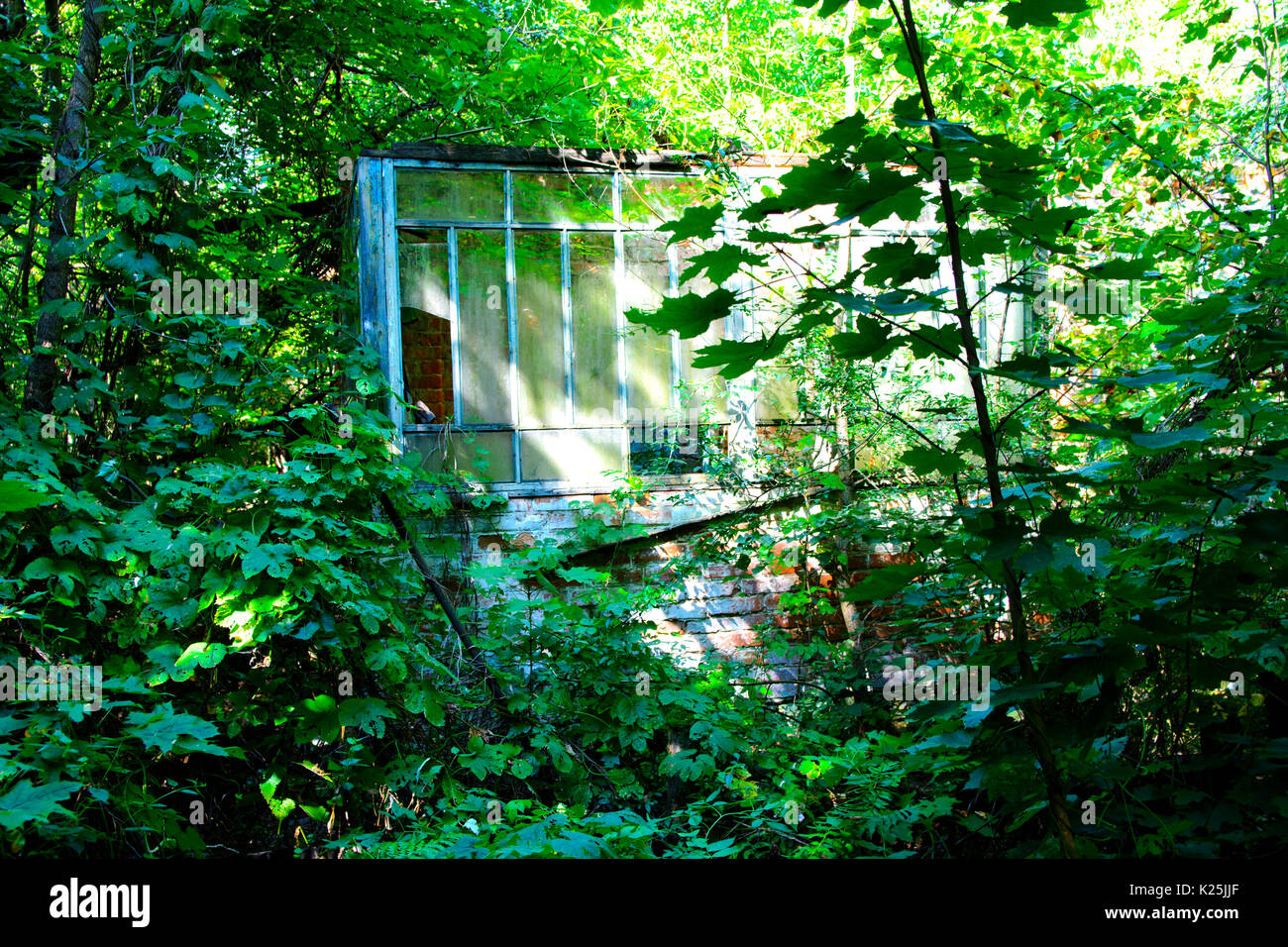 Destroyed houses in which people lived in a dead radioactive zone ...