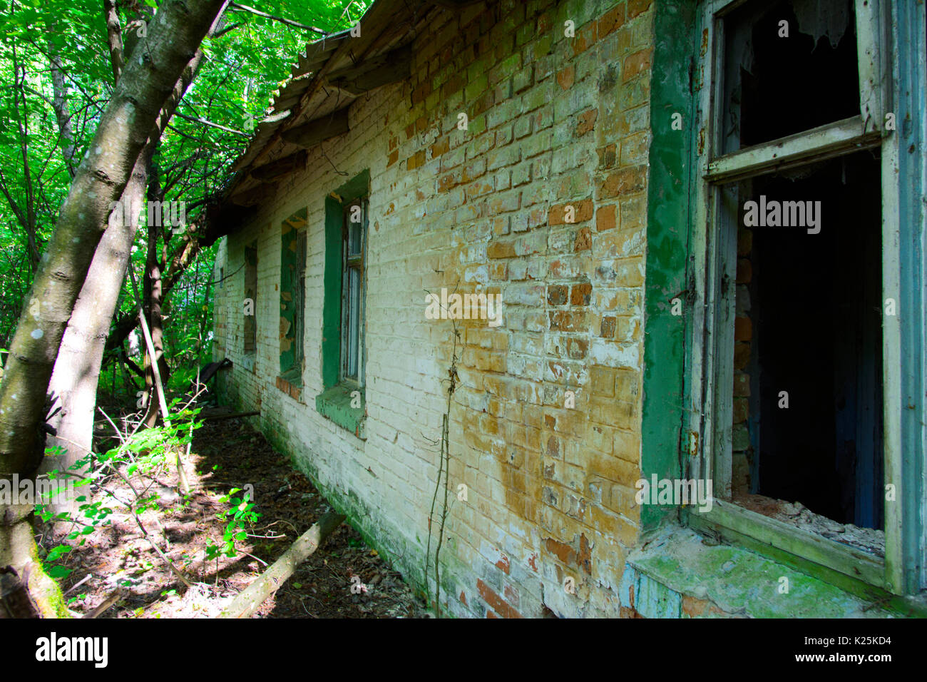 Destroyed houses in which people lived in a dead radioactive zone ...