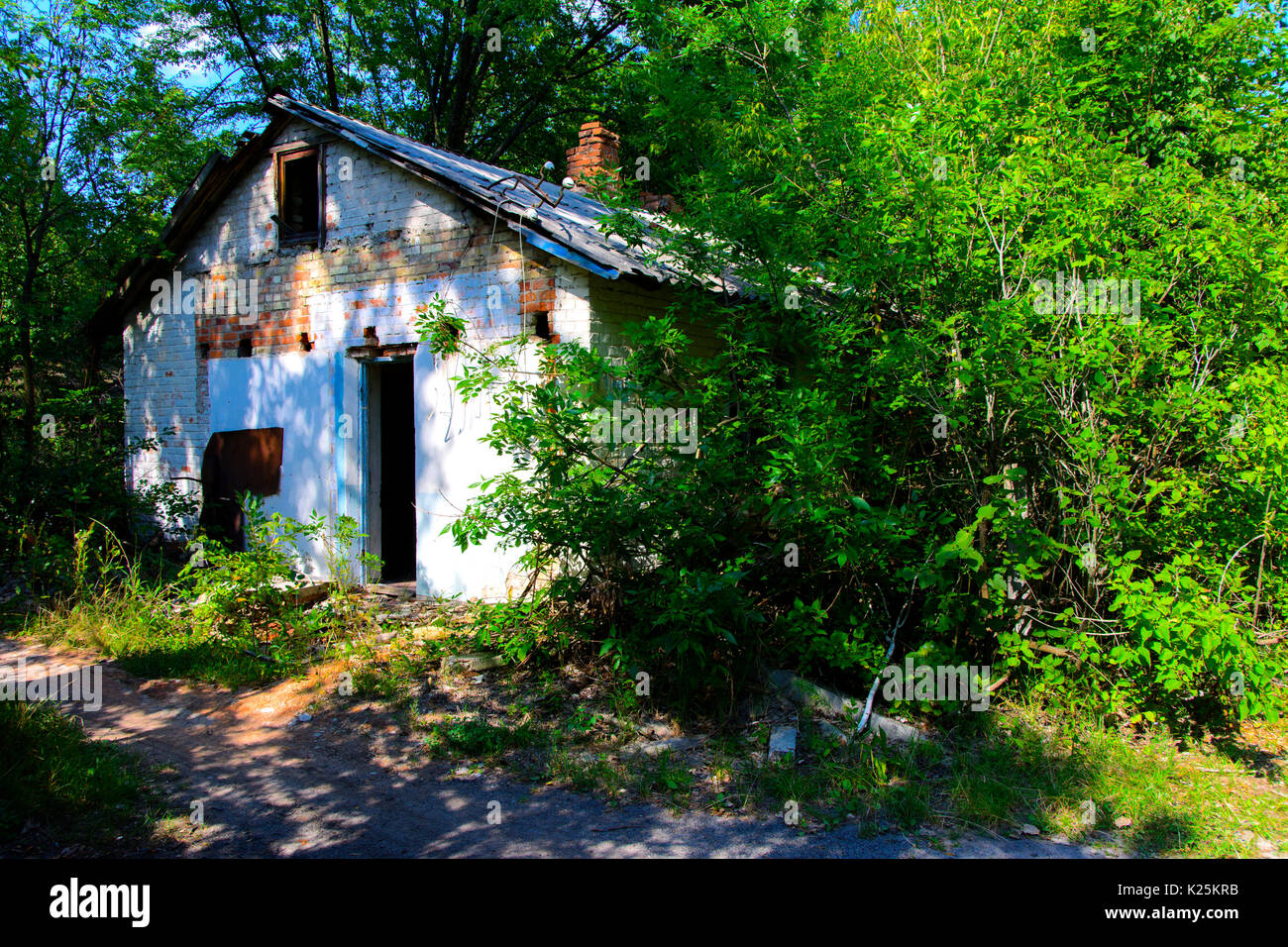 Destroyed houses in which people lived in a dead radioactive zone ...