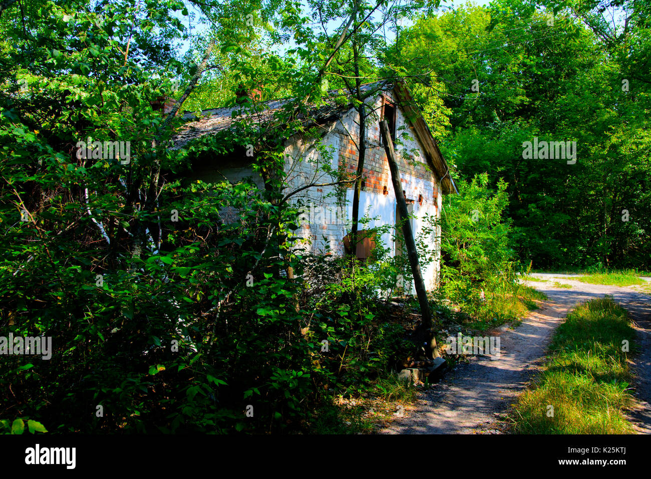 Destroyed houses in which people lived in a dead radioactive zone ...