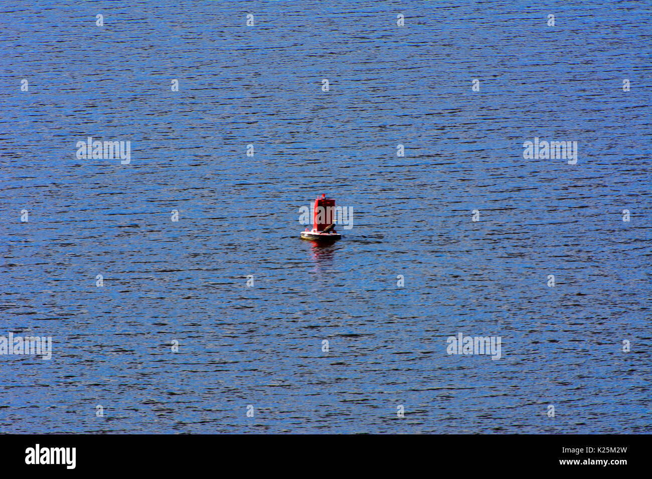 A beautiful river landscape and trees in a dead radioactive zone. River ...
