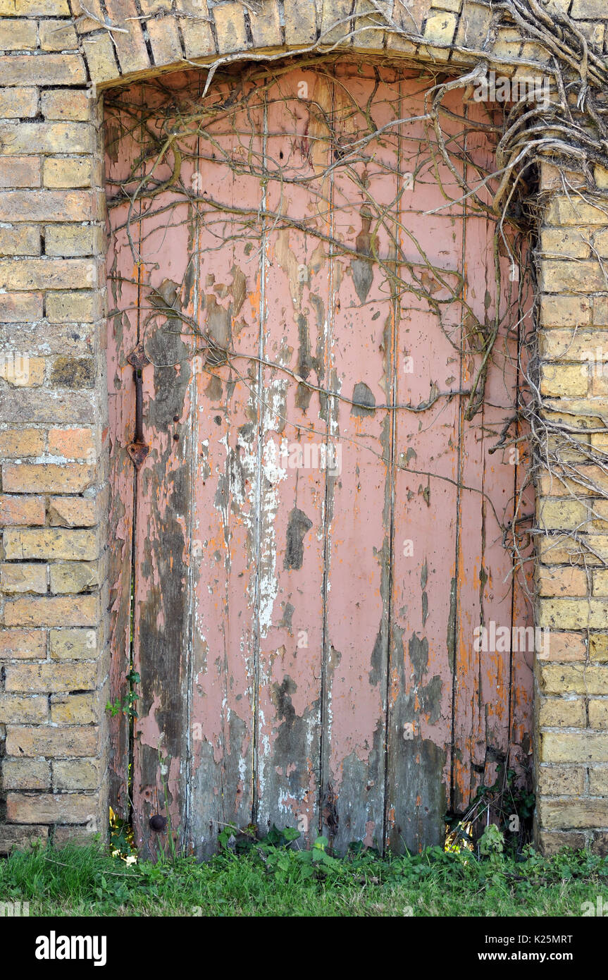 An old wooden door in a garden wall faded paintwork shabby chic with ...
