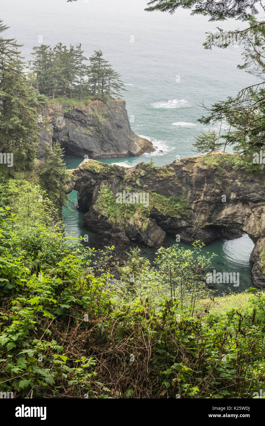 Natural Bridges Cove seen from North Island Viewpoint, Oregon Stock ...