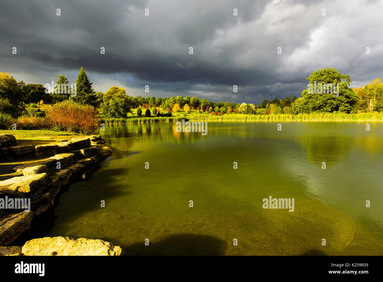 Wonderful autumn colours in a Bedgebury park near Tunbridge Wells in ...