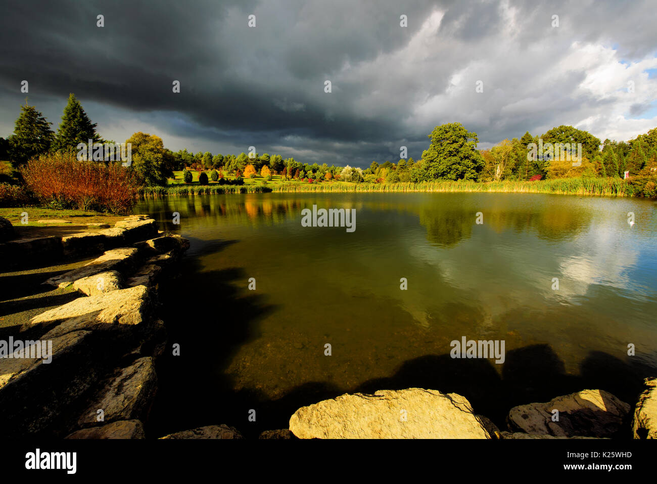 Wonderful autumn colours in a Bedgebury park near Tunbridge Wells in ...