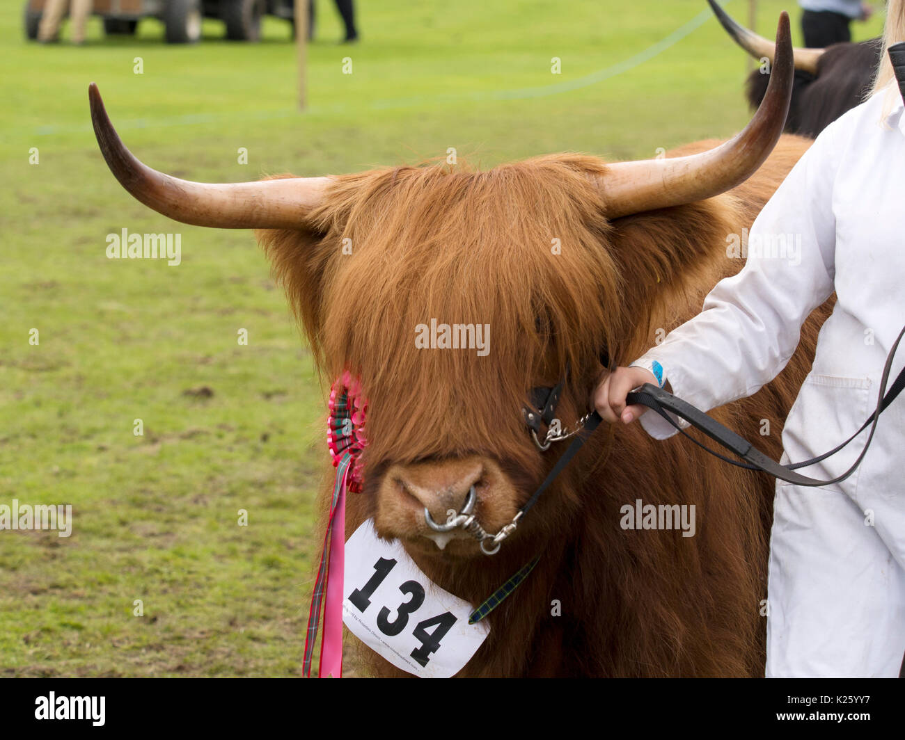 Turriff scotland hi-res stock photography and images - Alamy