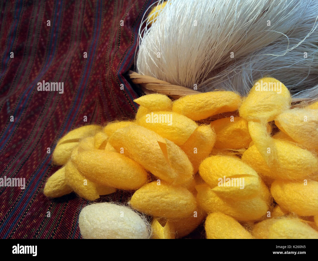 Yellow silkworm cocoon shell through the Silk Route Stock Photo - Alamy