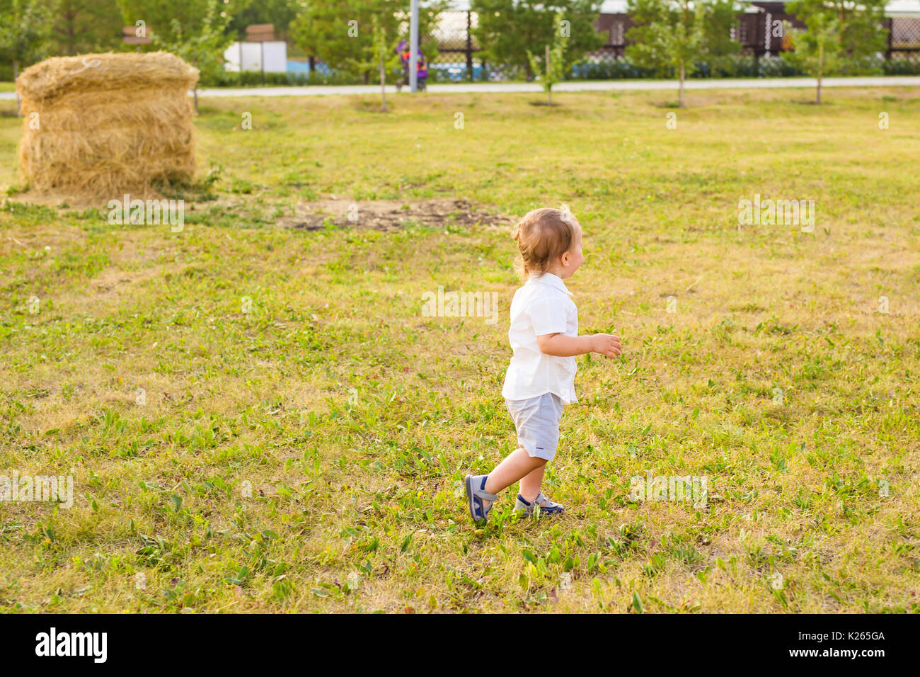 smiling boy in the field at sunny summer morning. boy in white shirt ...