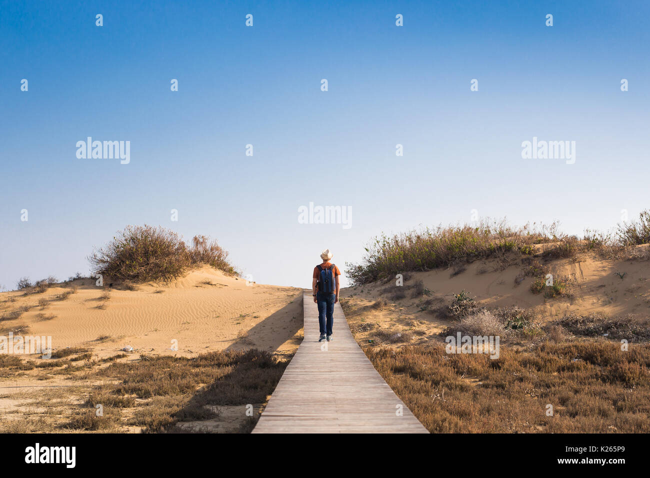 Hiker walks alone. Travel and adventures concept Stock Photo - Alamy