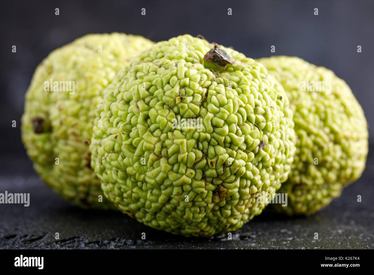 Adam's apple on a black background. Macro Stock Photo - Alamy