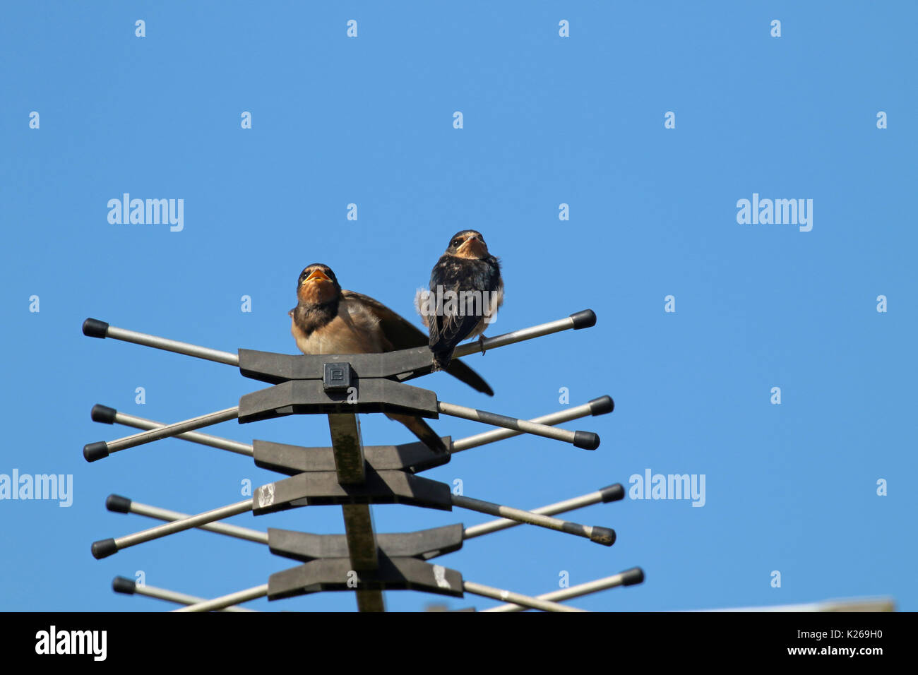 Bracknell Aerial High Resolution Stock Photography and Images - Alamy