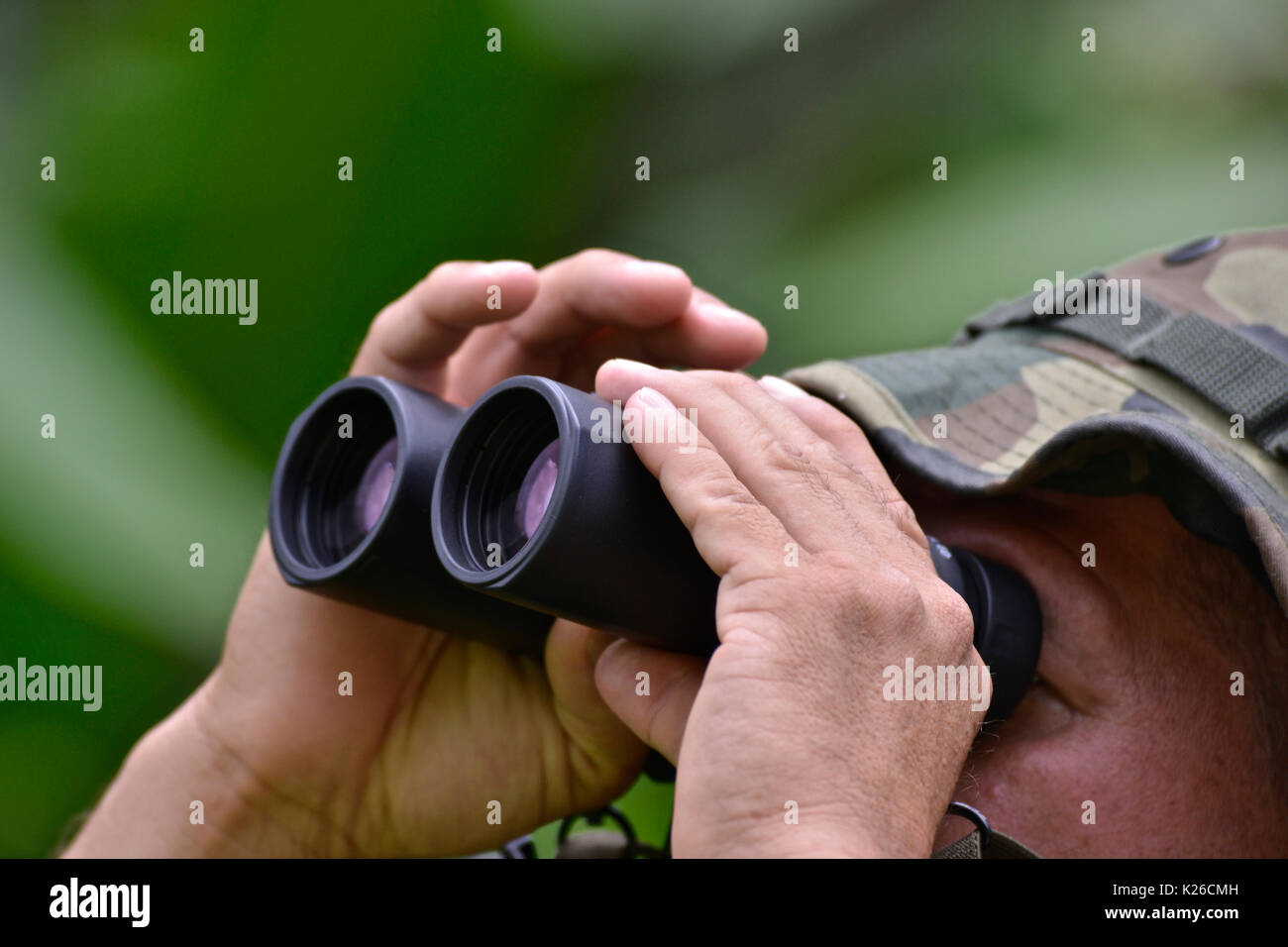 Person birdwatching birding hi-res stock photography and images - Alamy